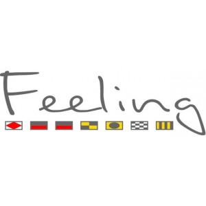 Feeling Logo Decal