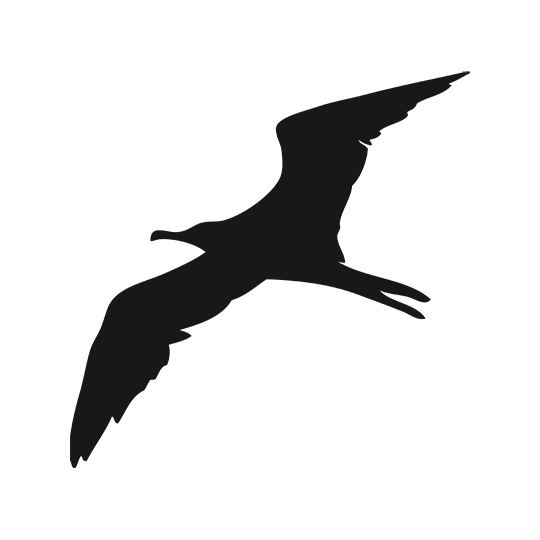 Adhesive Seagull Sticker for Boat