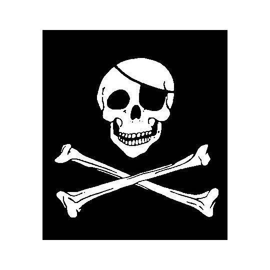Adhesive Pirate Flag Sticker for Boat